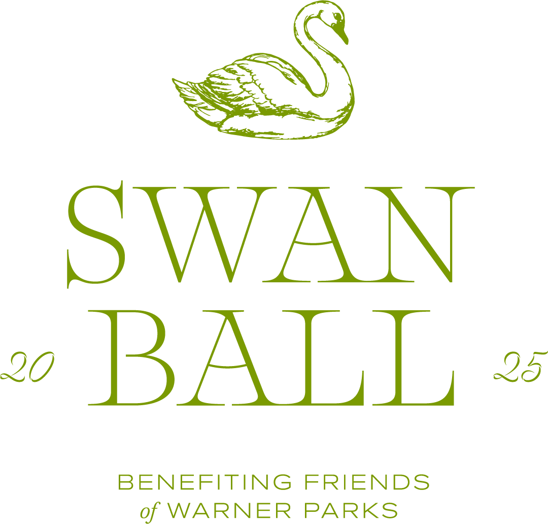About | Swan Ball