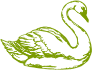 2025 Swan Ball Event Details | Swan Ball